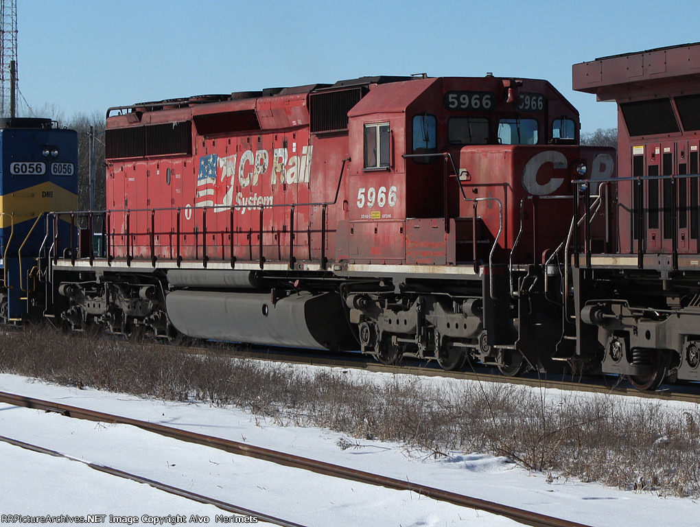 CP 5966 on 255